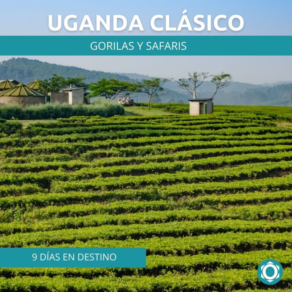 Uganda y Ruanda en privado – DestinOriente